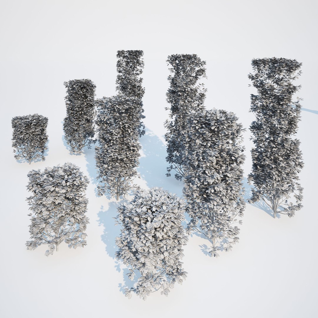 3d Generic Formed Hedge Model