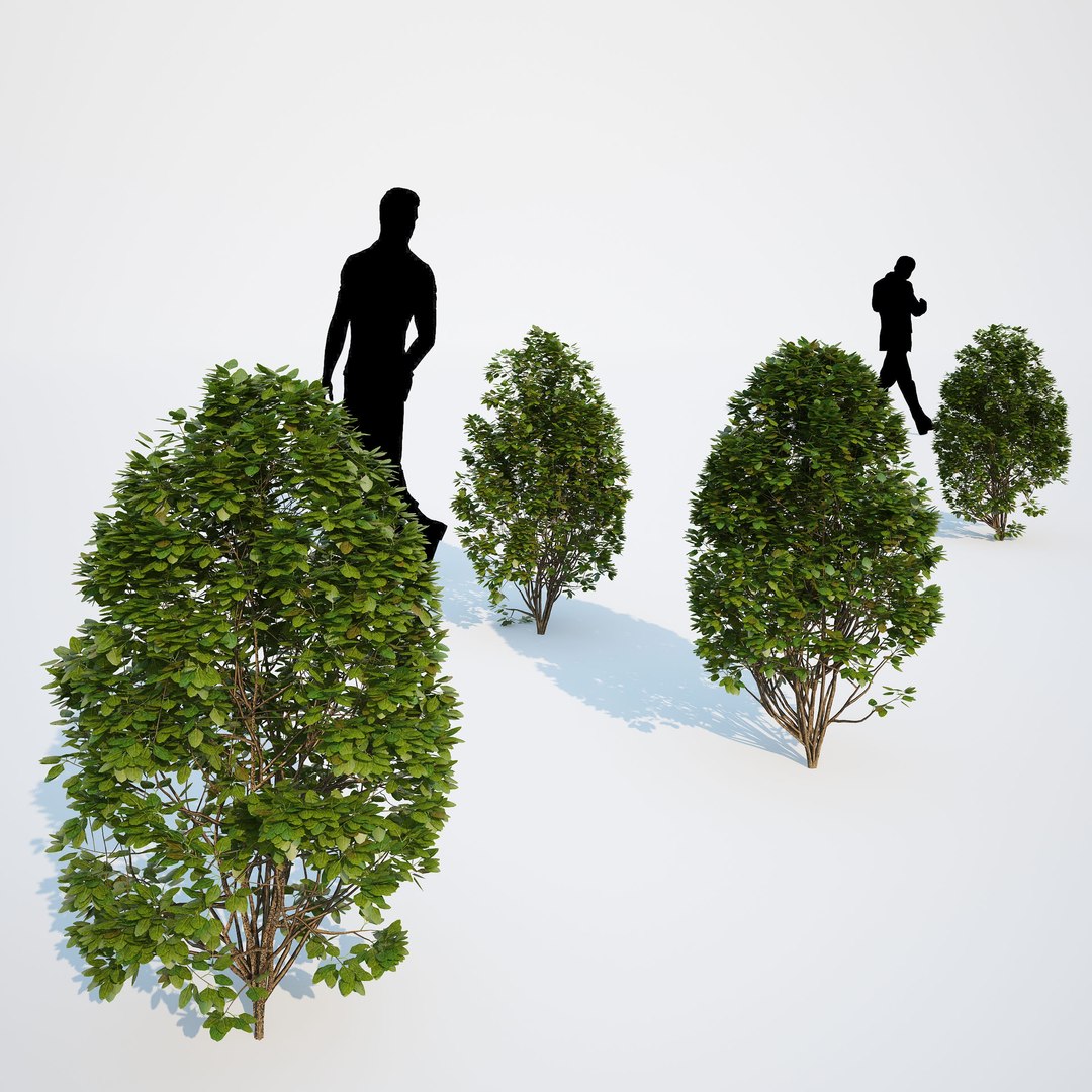 3d Generic Formed Hedge Model