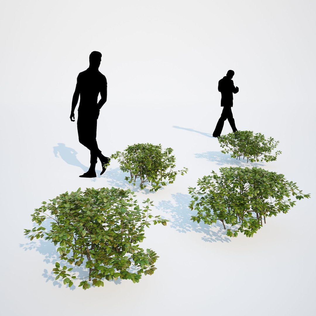 3d Generic Formed Hedge Model