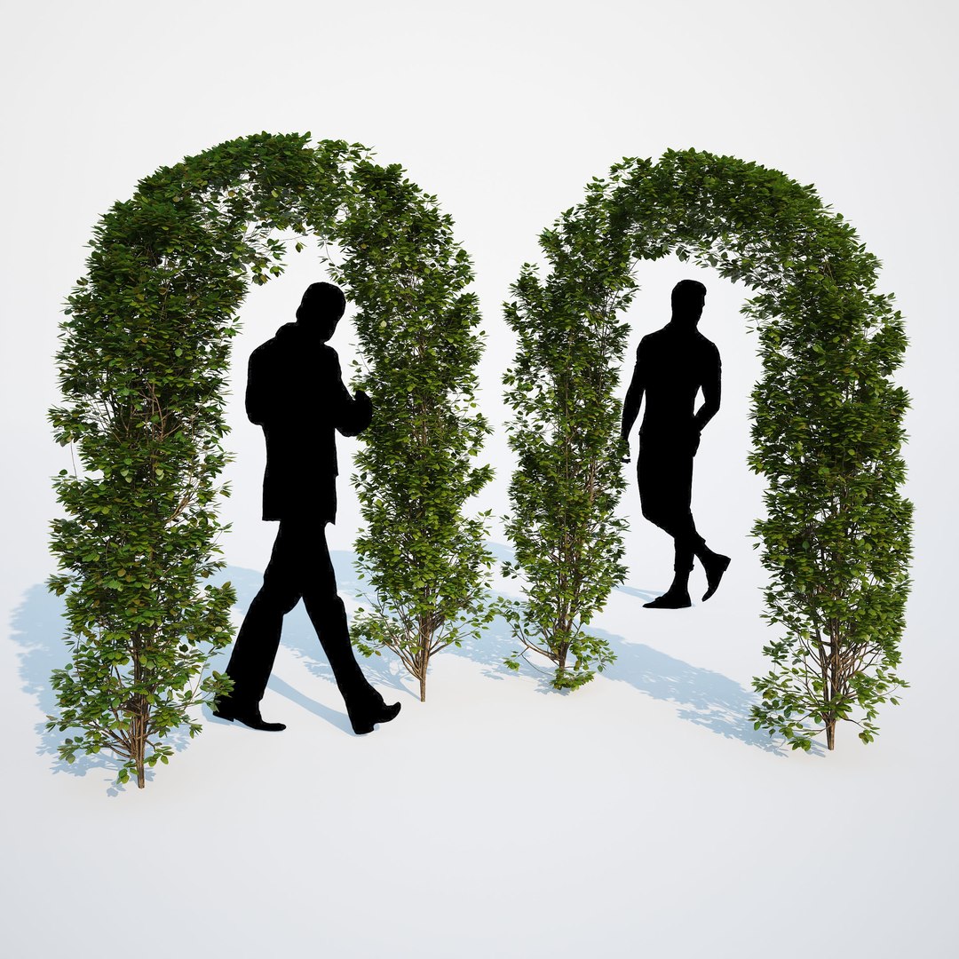 3d Generic Formed Hedge Model