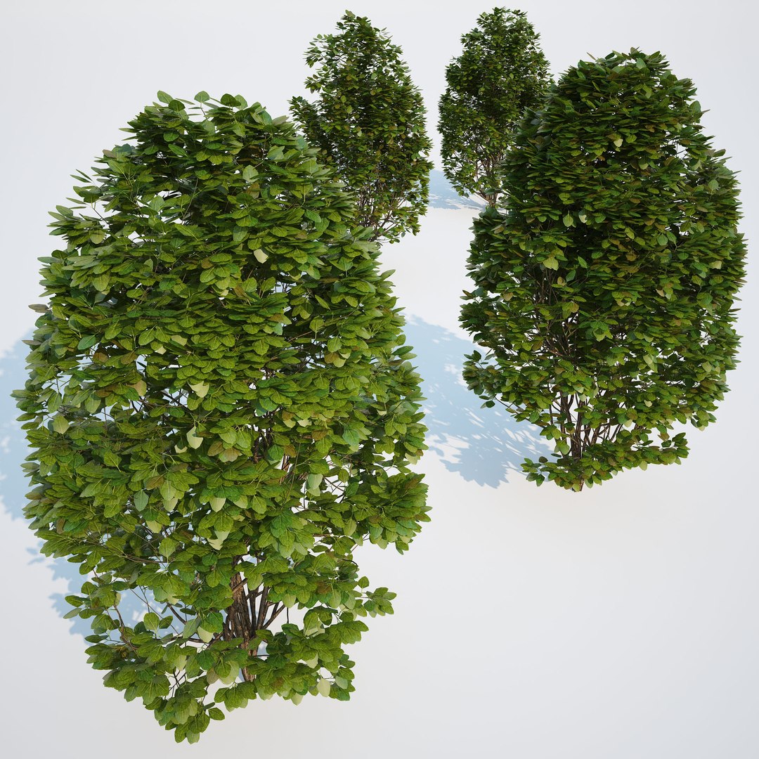 3d Generic Formed Hedge Model