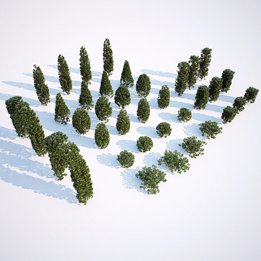 3d Generic Formed Hedge Model