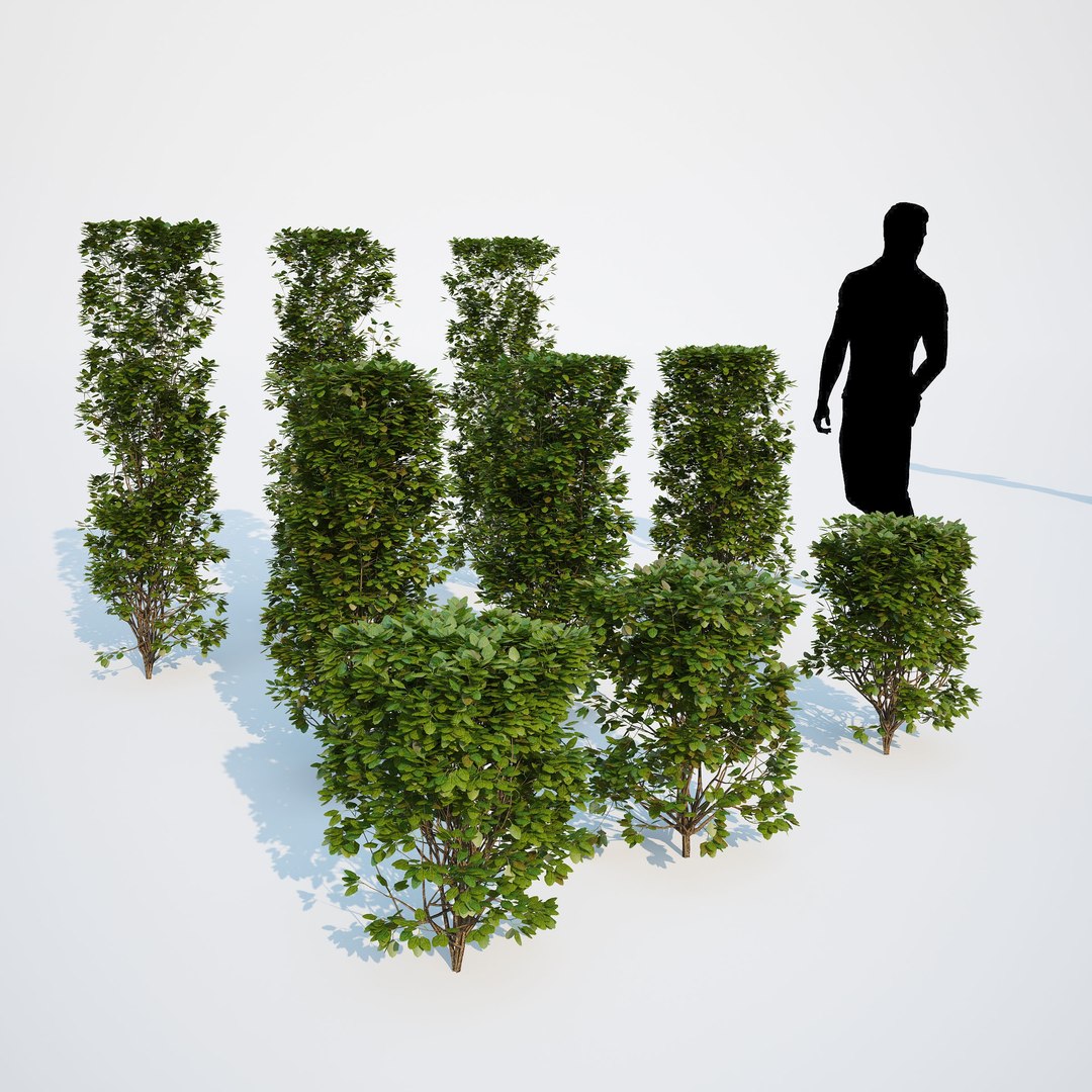 3d Generic Formed Hedge Model