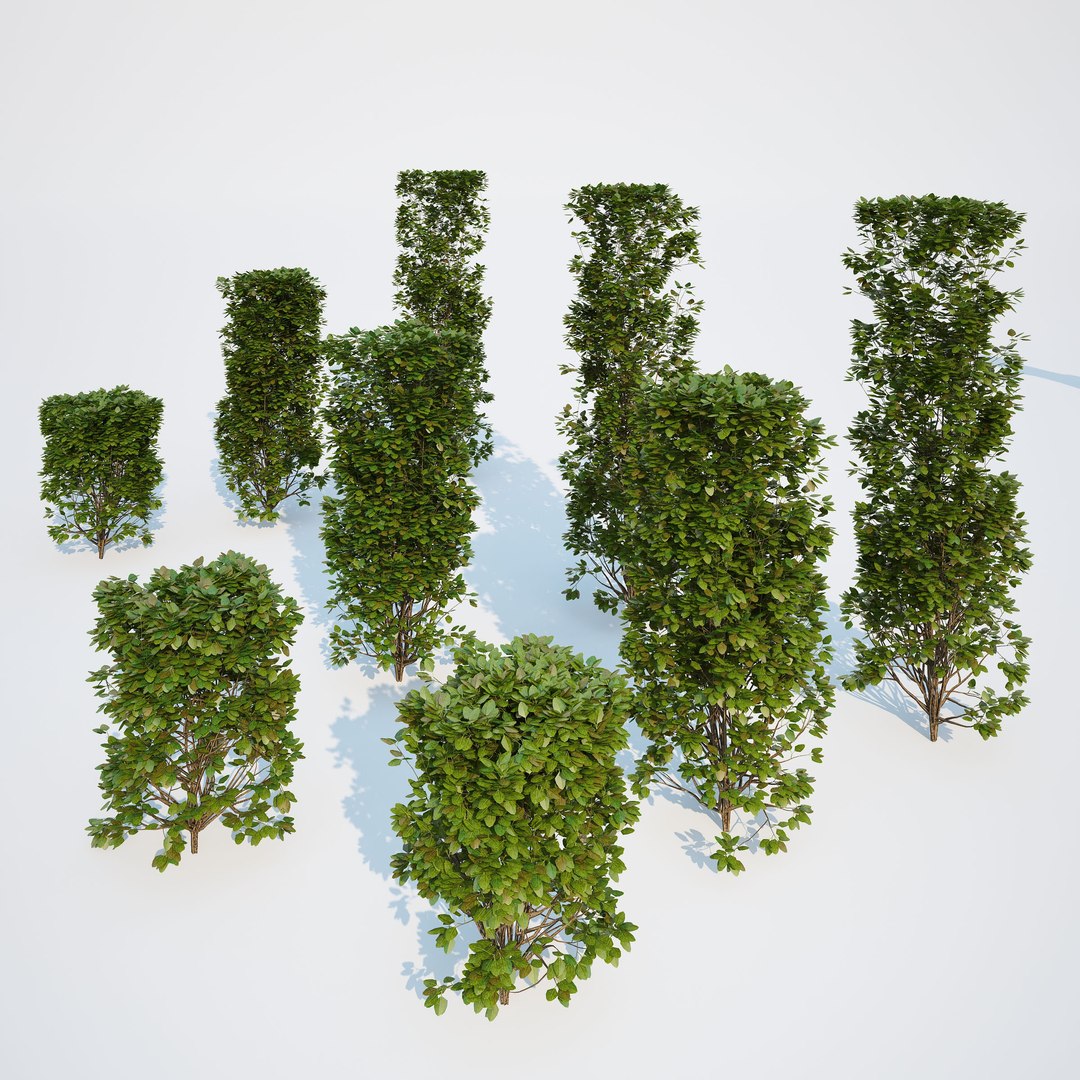 3d Generic Formed Hedge Model