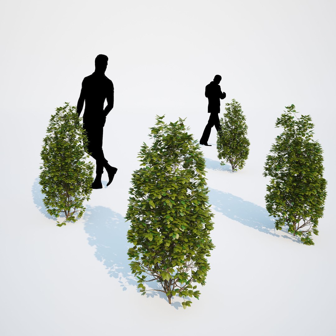 3d Generic Formed Hedge Model