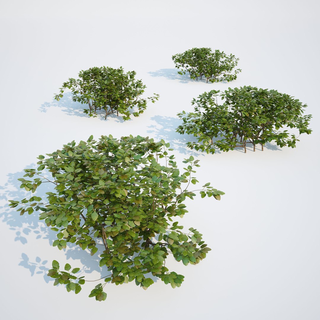 3d Generic Formed Hedge Model