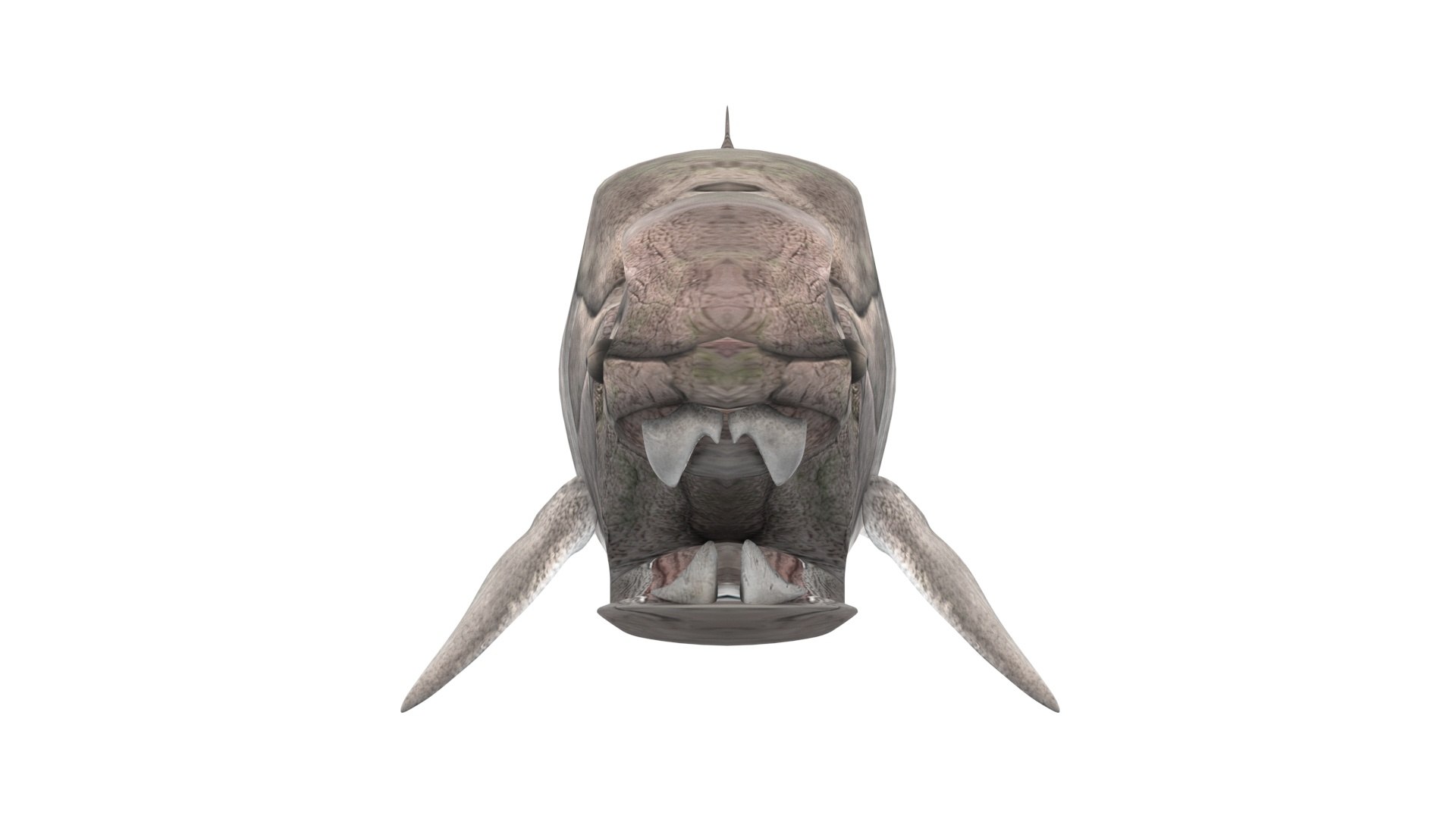 3D Dunkleosteus Model - TurboSquid 1927376