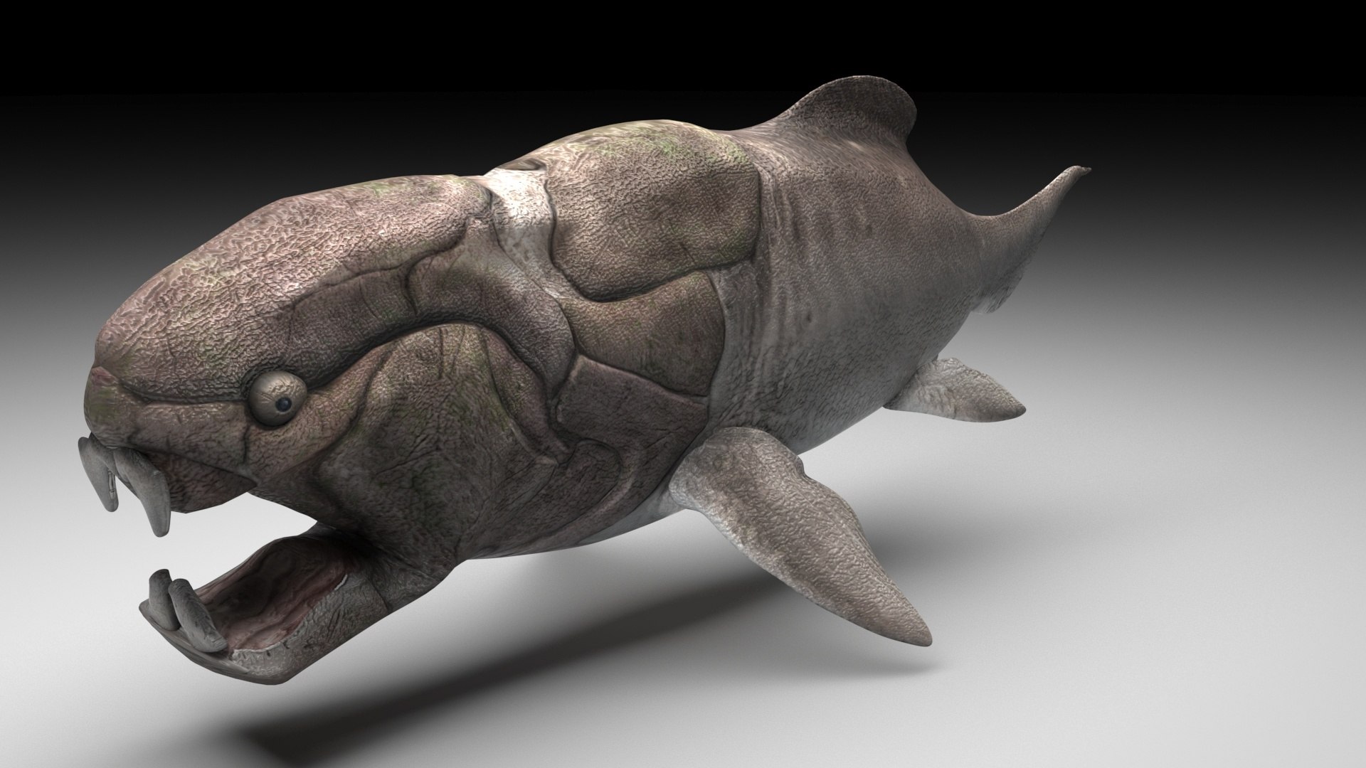 3D Dunkleosteus Model - TurboSquid 1927376