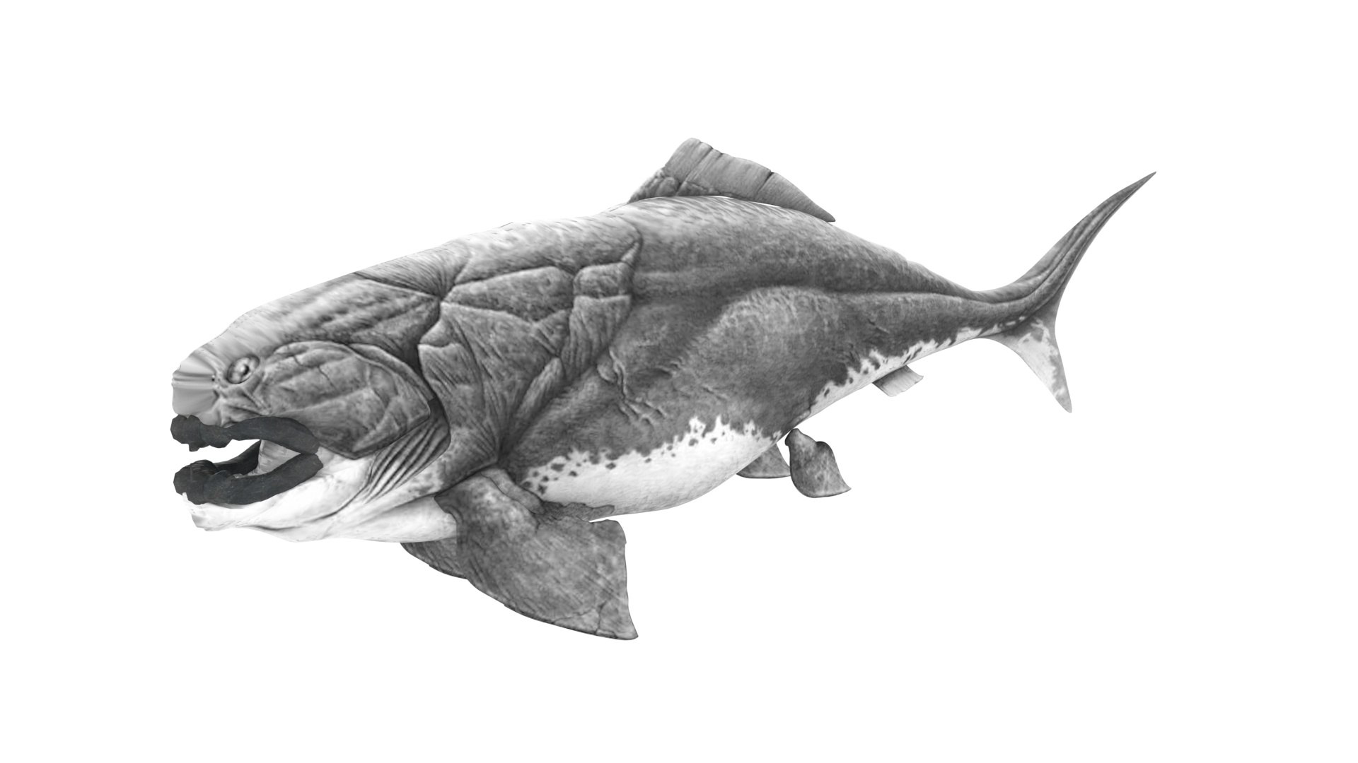 3D Dunkleosteus Model - TurboSquid 1927376