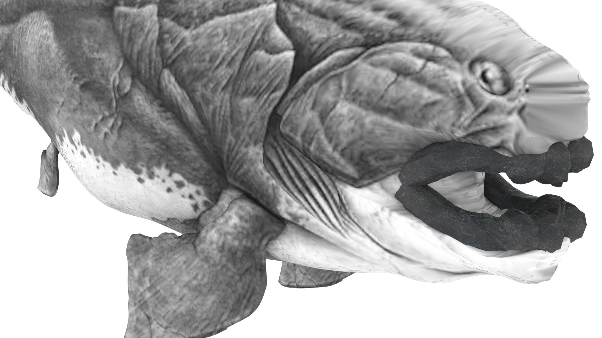 3D Dunkleosteus Model - TurboSquid 1927376