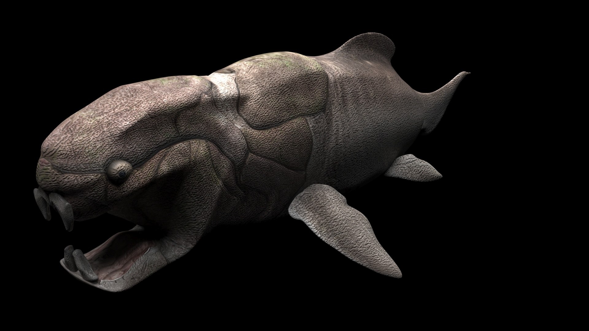 3D Dunkleosteus Model - TurboSquid 1927376