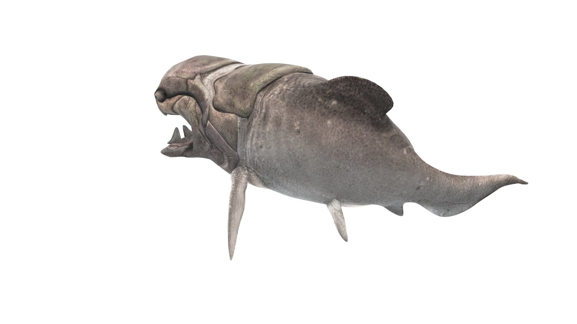 3D Dunkleosteus Model - TurboSquid 1927376