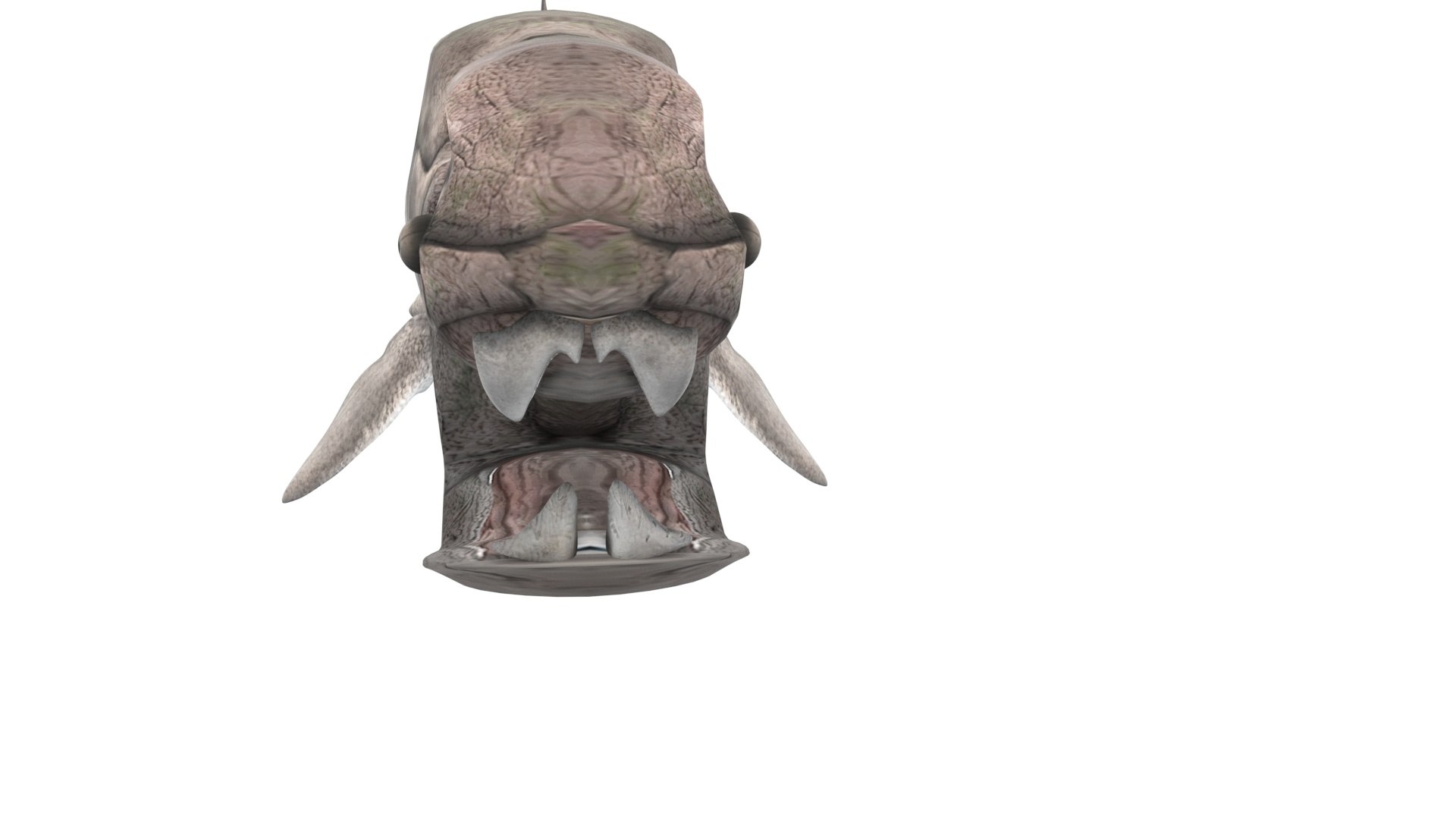 3D Dunkleosteus Model - TurboSquid 1927376