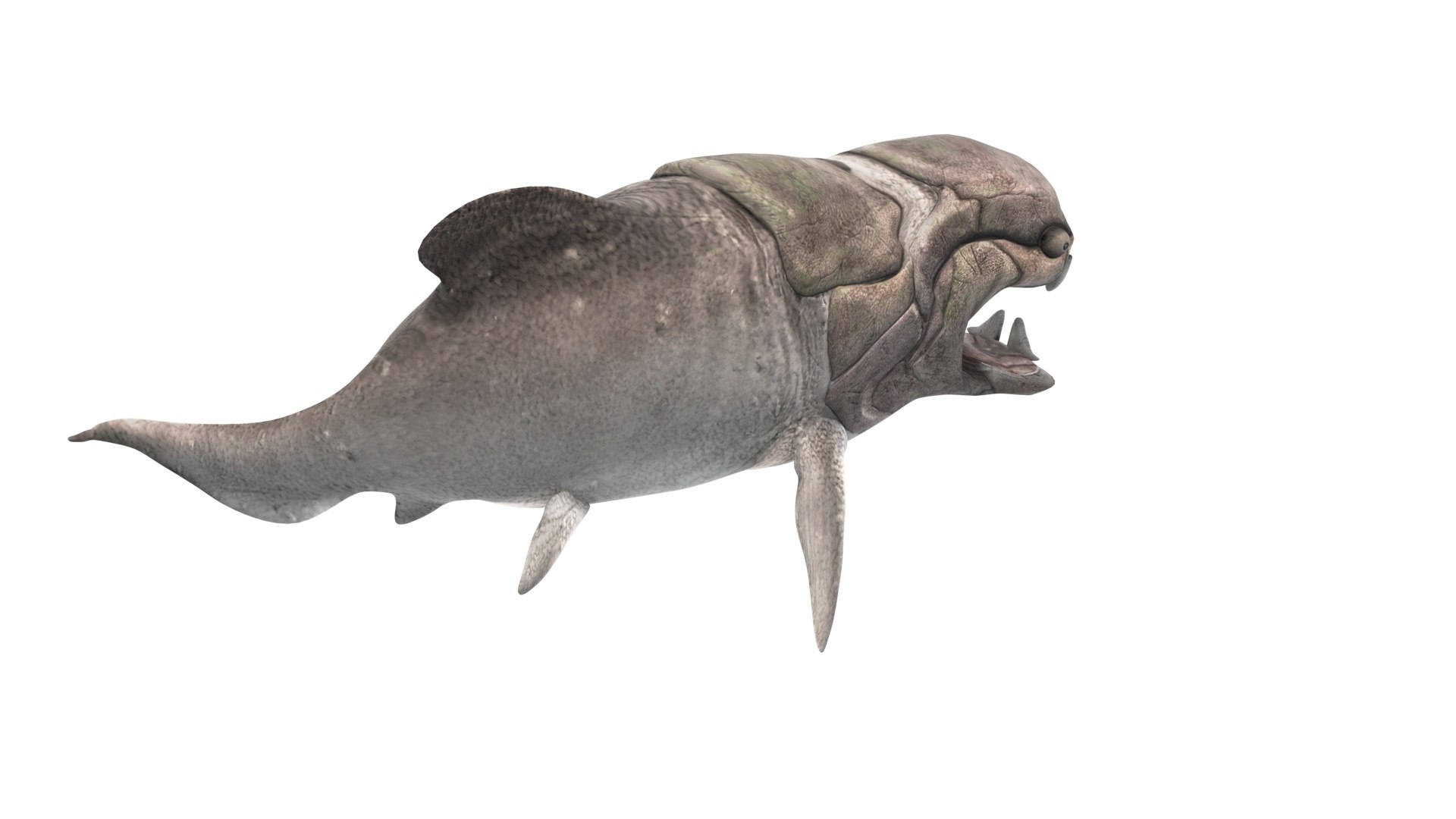 3D Dunkleosteus Model - TurboSquid 1927376