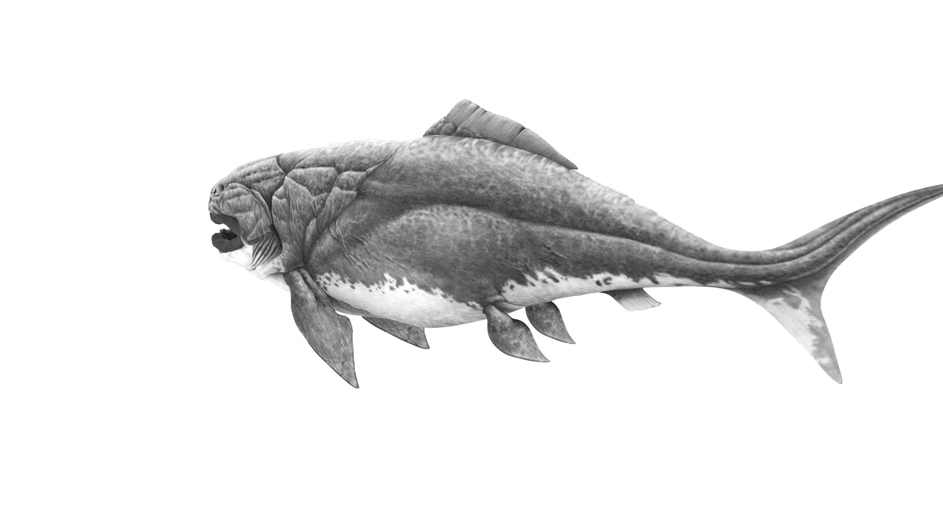 3D Dunkleosteus Model - TurboSquid 1927376