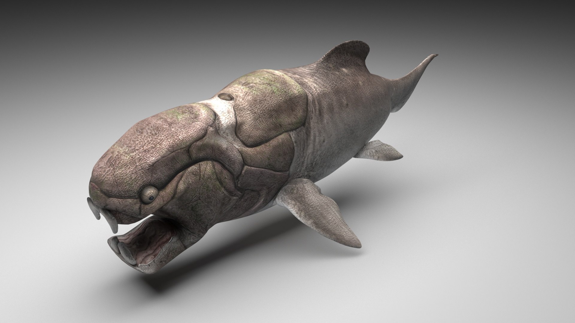 3D Dunkleosteus Model - TurboSquid 1927376