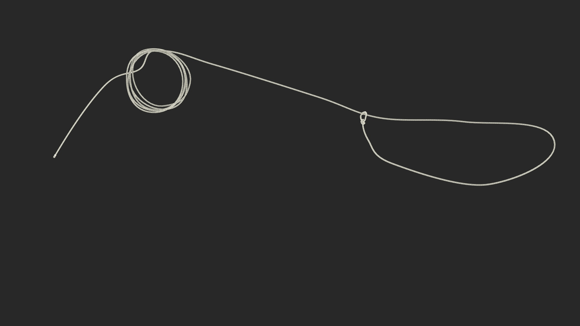 Lasso Rope For Catching Animals Flying Model - TurboSquid 2161837