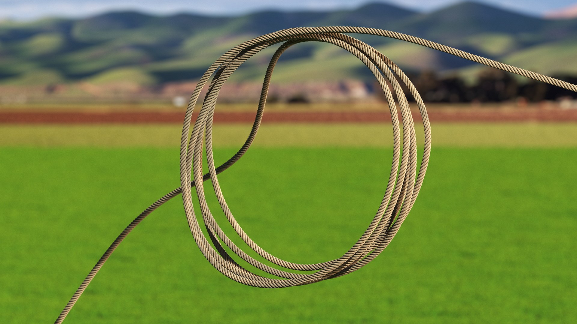 Lasso Rope For Catching Animals Flying Model - TurboSquid 2161837