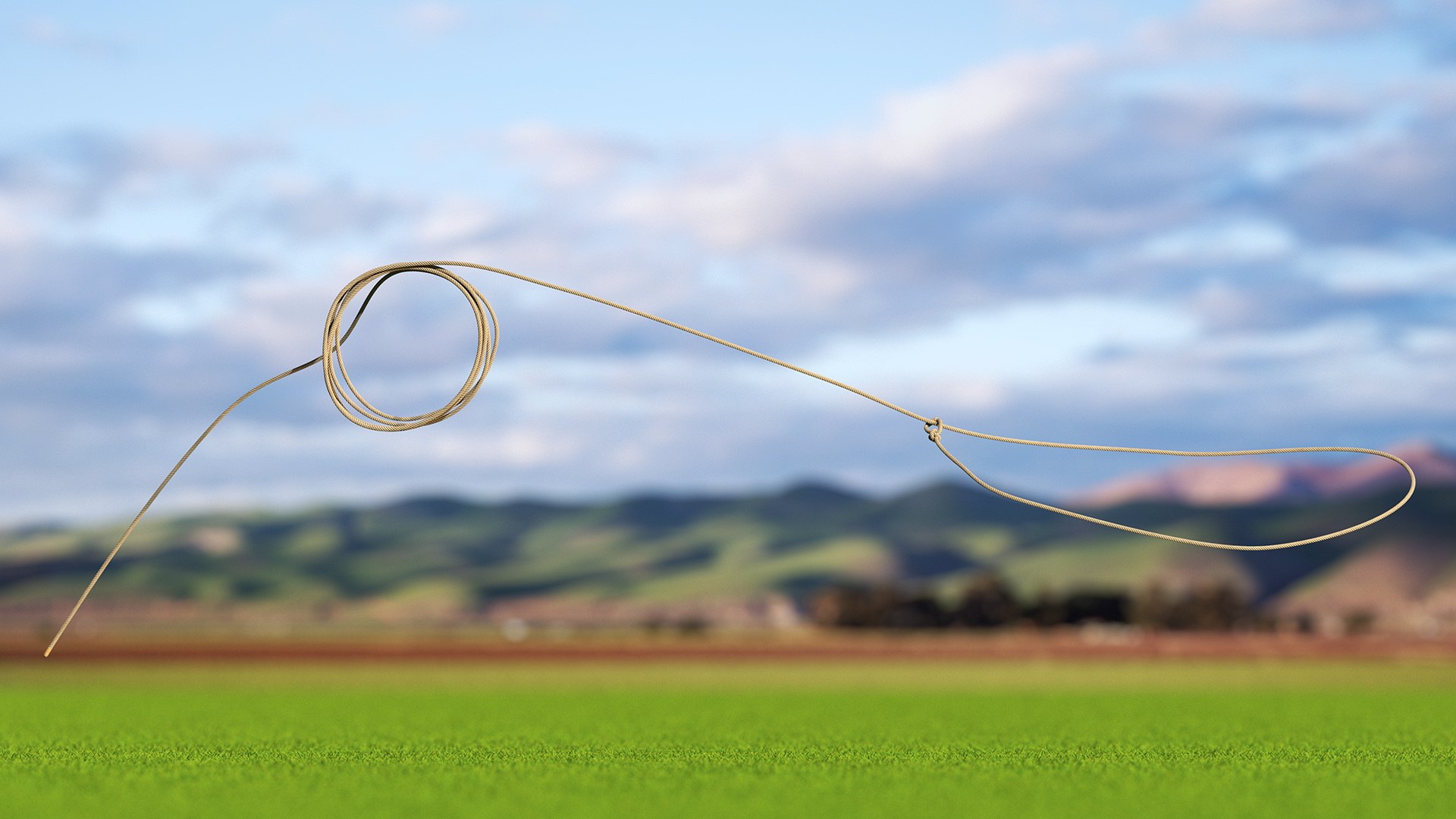 Lasso Rope For Catching Animals Flying Model - TurboSquid 2161837