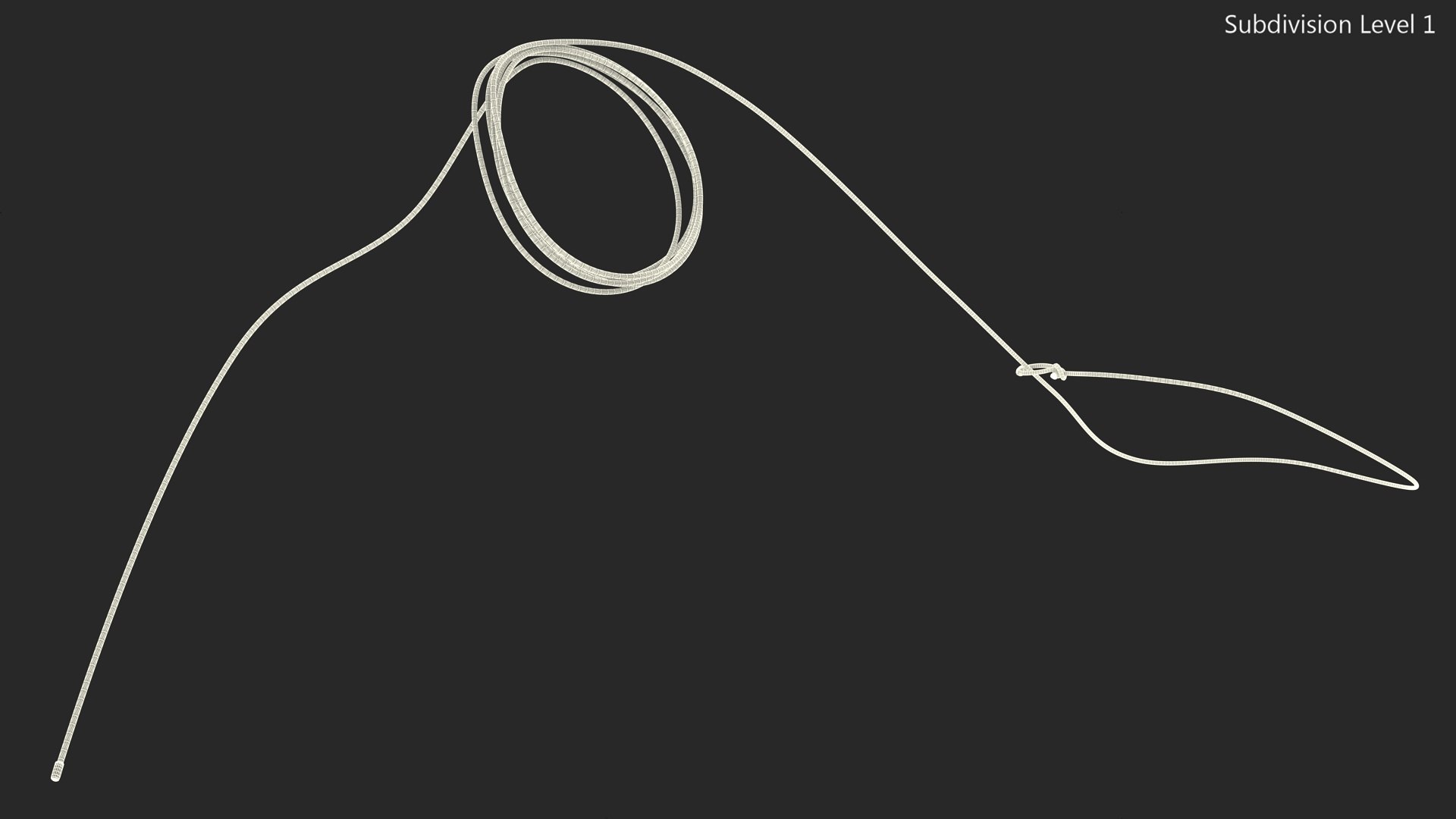 Lasso Rope For Catching Animals Flying Model - TurboSquid 2161837