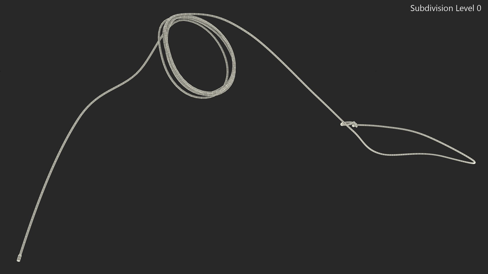 Lasso Rope For Catching Animals Flying Model - TurboSquid 2161837