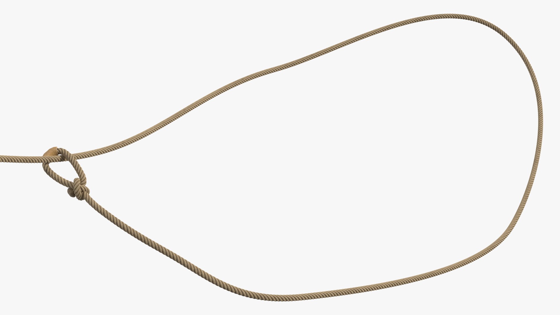 Lasso Rope For Catching Animals Flying Model - TurboSquid 2161837