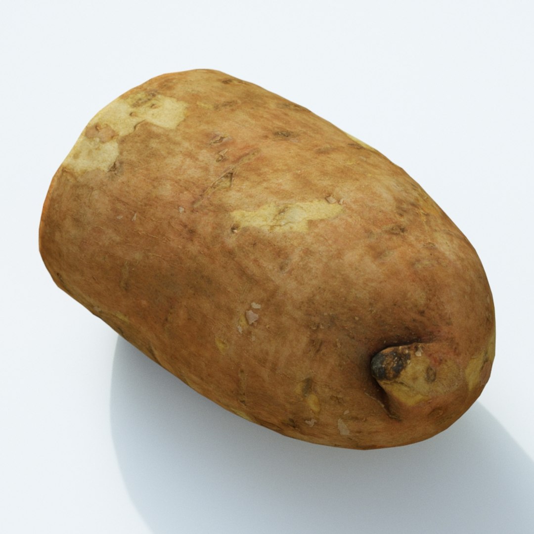 3D Sweet Potato Model - TurboSquid 1385538