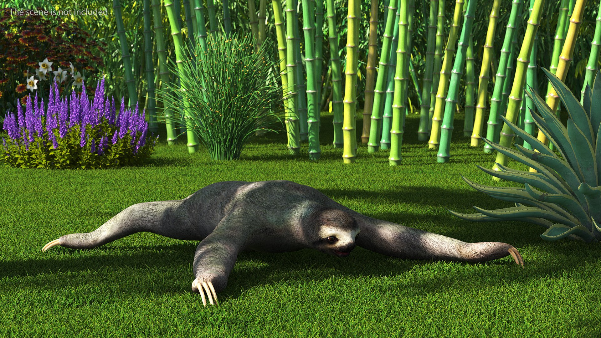 3D Sloth - TurboSquid 2180372