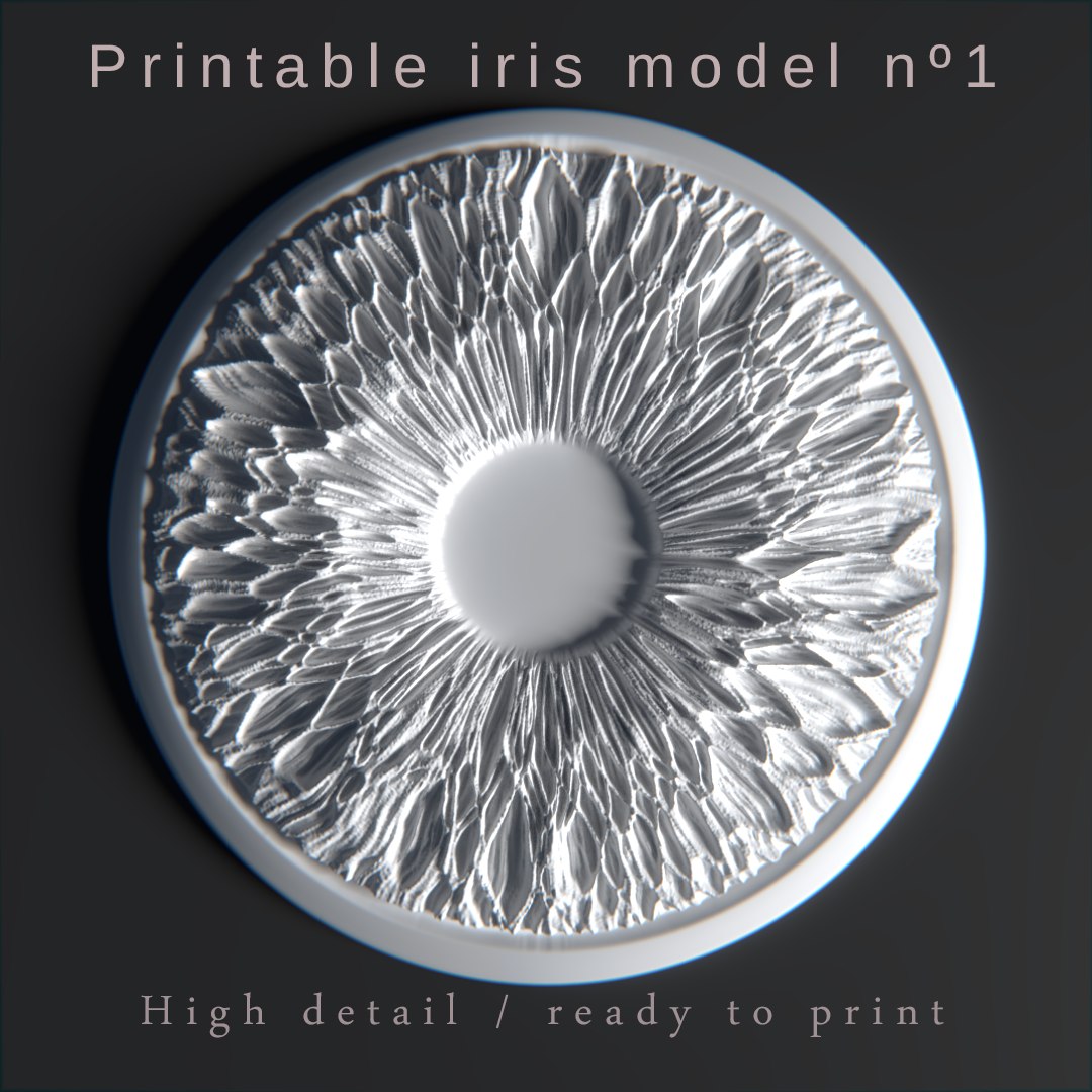 Iris Printing 3D Model - TurboSquid 1315946