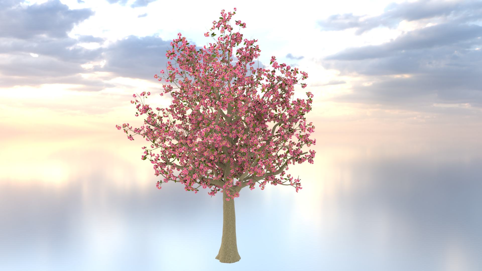 Tabibuea Rosea - Fully Blossomed Tree High Poly 3D Model - TurboSquid ...