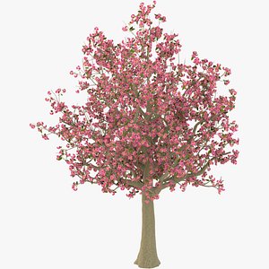 3D Tree Maya Models - Browse & Download Formats - TurboSquid