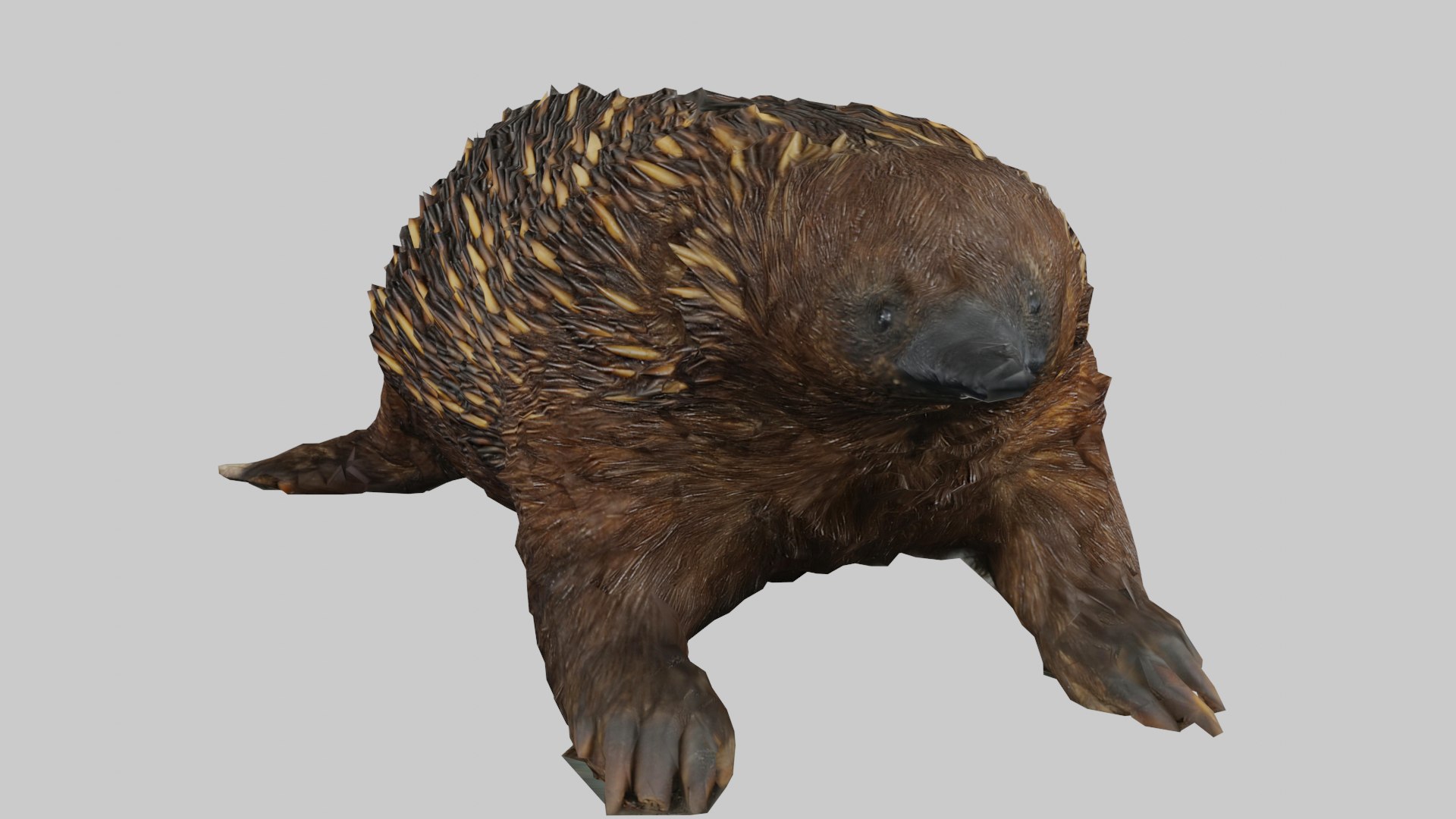 3D Anteater - TurboSquid 1973420