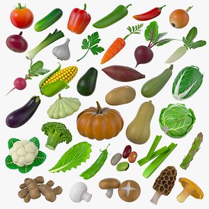 Max Realistic Eggplant Real Vegetables