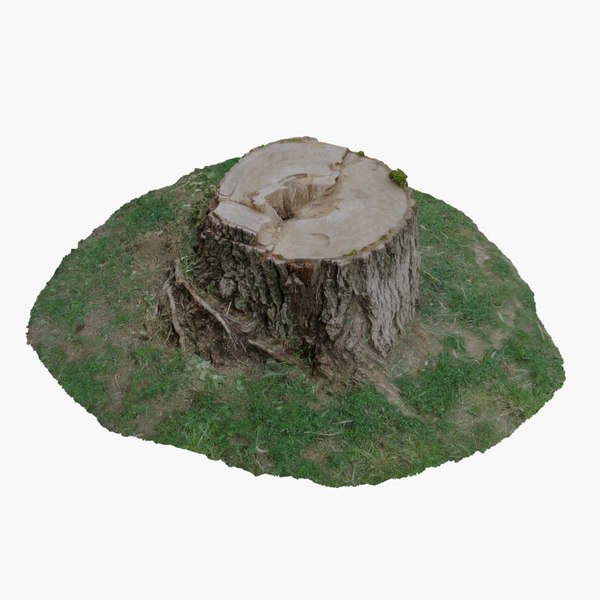 3d tree stump 18 model