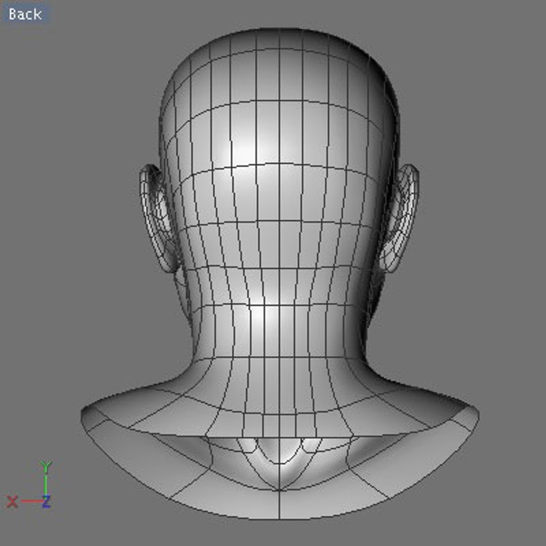 3d li asian male head reference