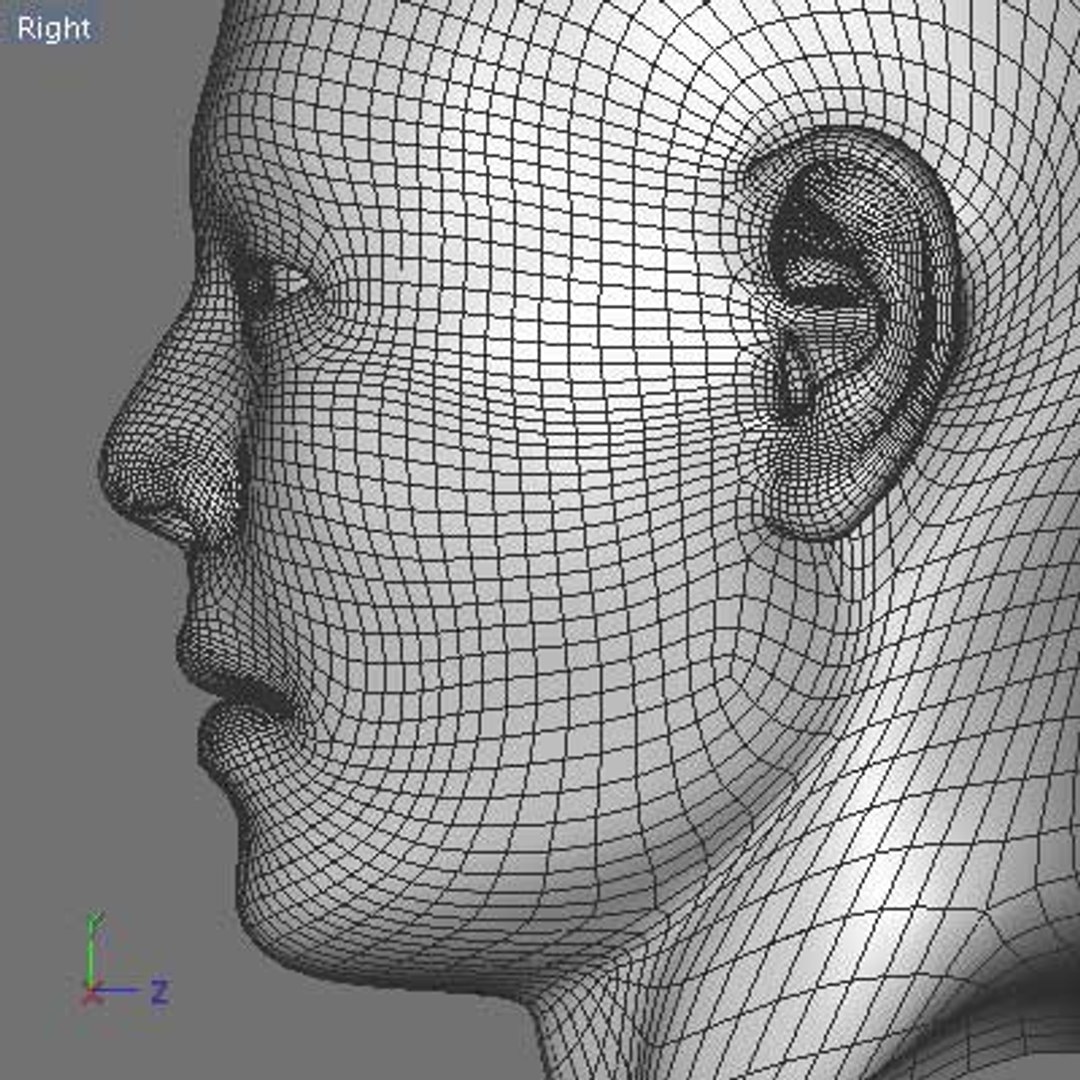 3d li asian male head reference