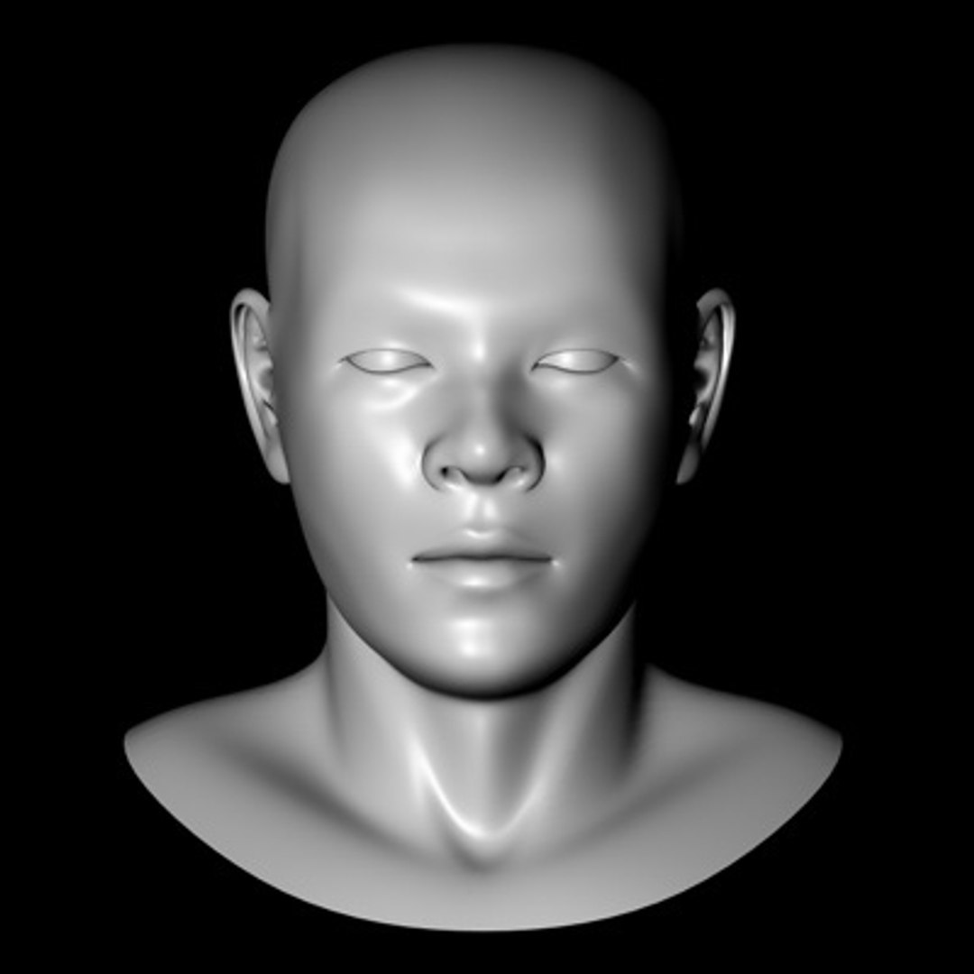 3d li asian male head reference