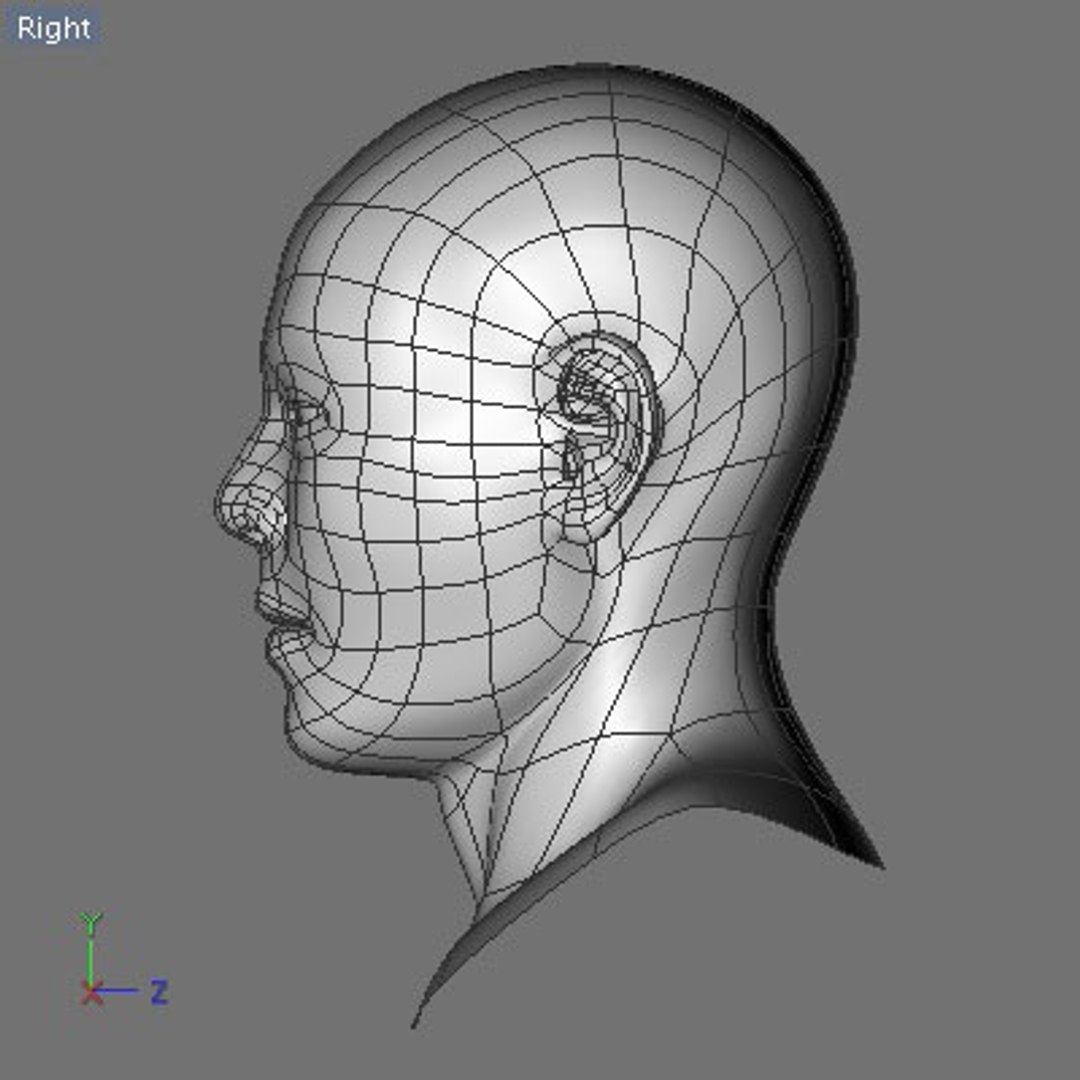 3d li asian male head reference