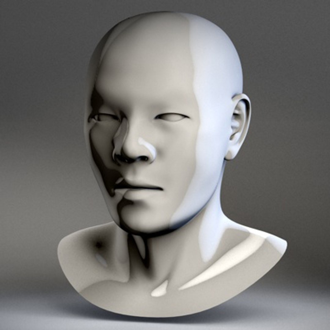 3d li asian male head reference