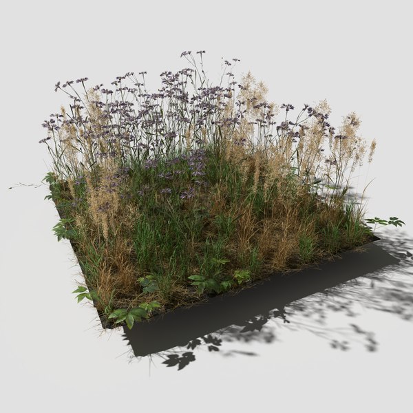 Pbr bloodwort meadow patch model - TurboSquid 1512710
