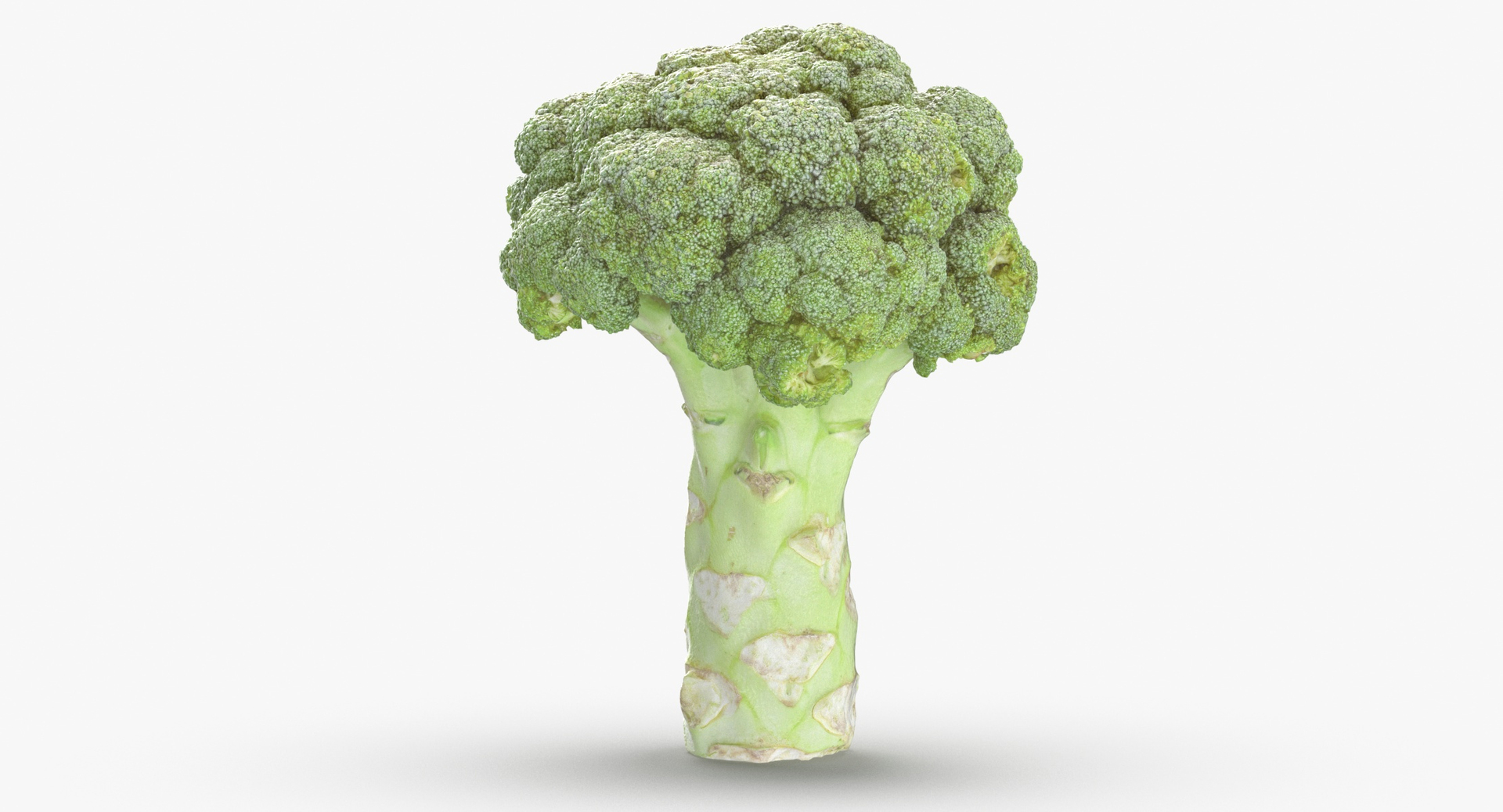 Vegetables Collection 03 - 40 models 3D model - TurboSquid 1809899