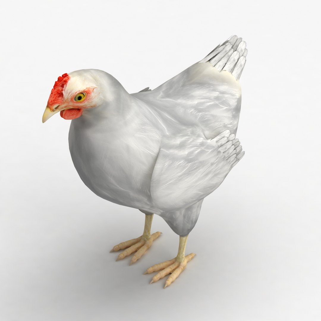 Dxf Dugm02 Chicken