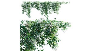 modelo 3d Buganvillas - TurboSquid 1780194