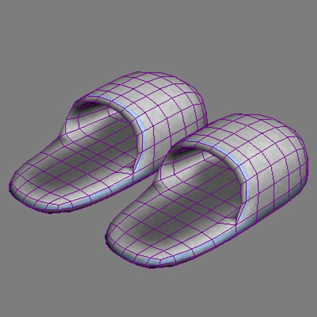3ds Max Slippers