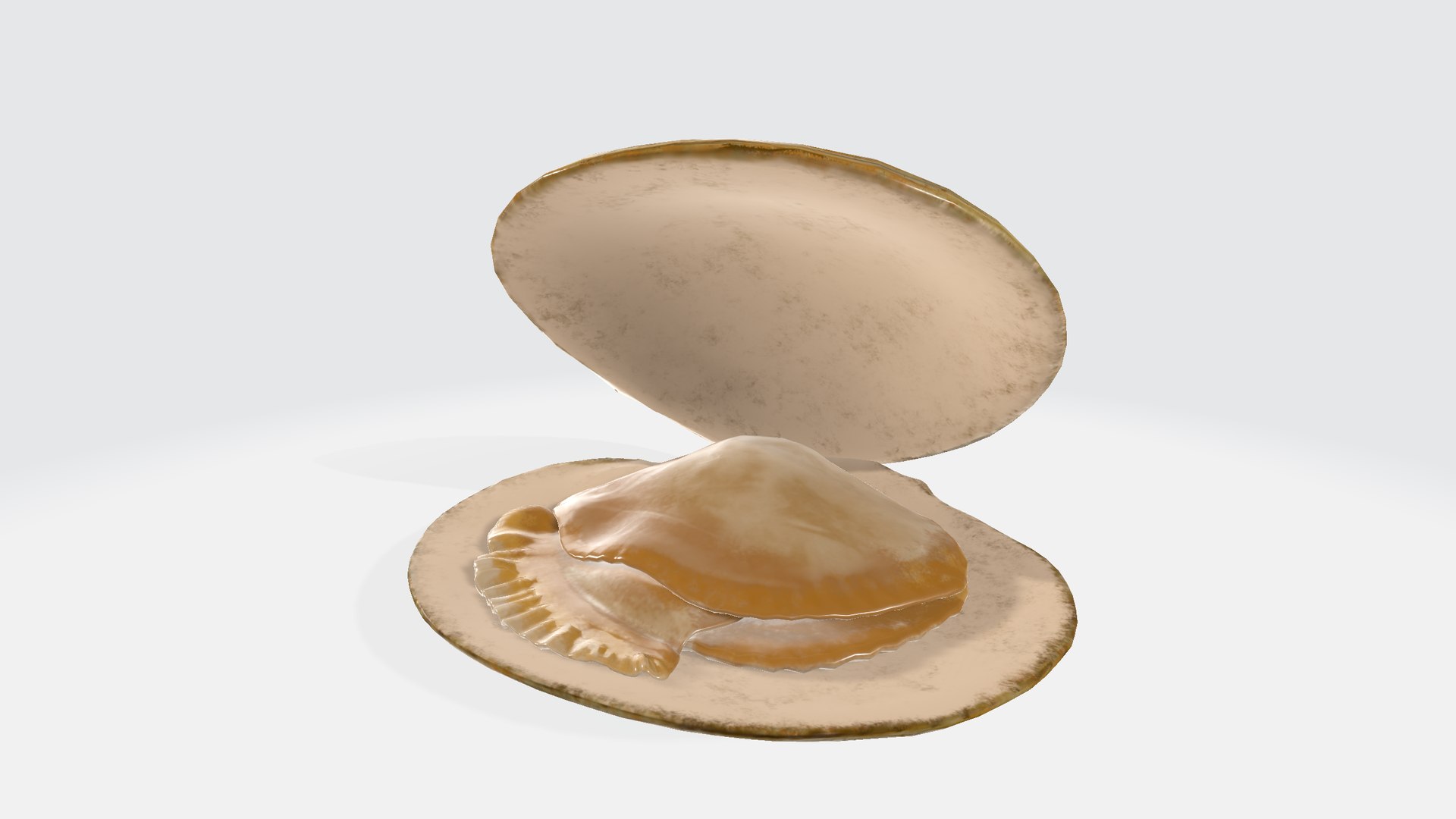 Clam 3D - TurboSquid 2344251