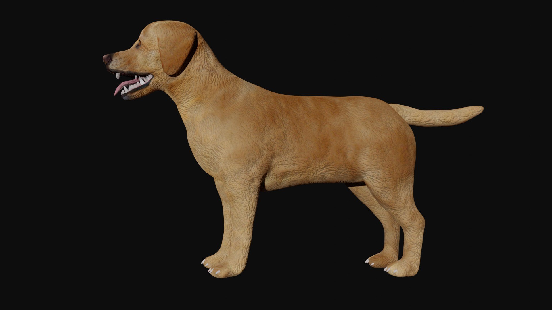 3D Labrador And Puppy Labrador Model - TurboSquid 1751975