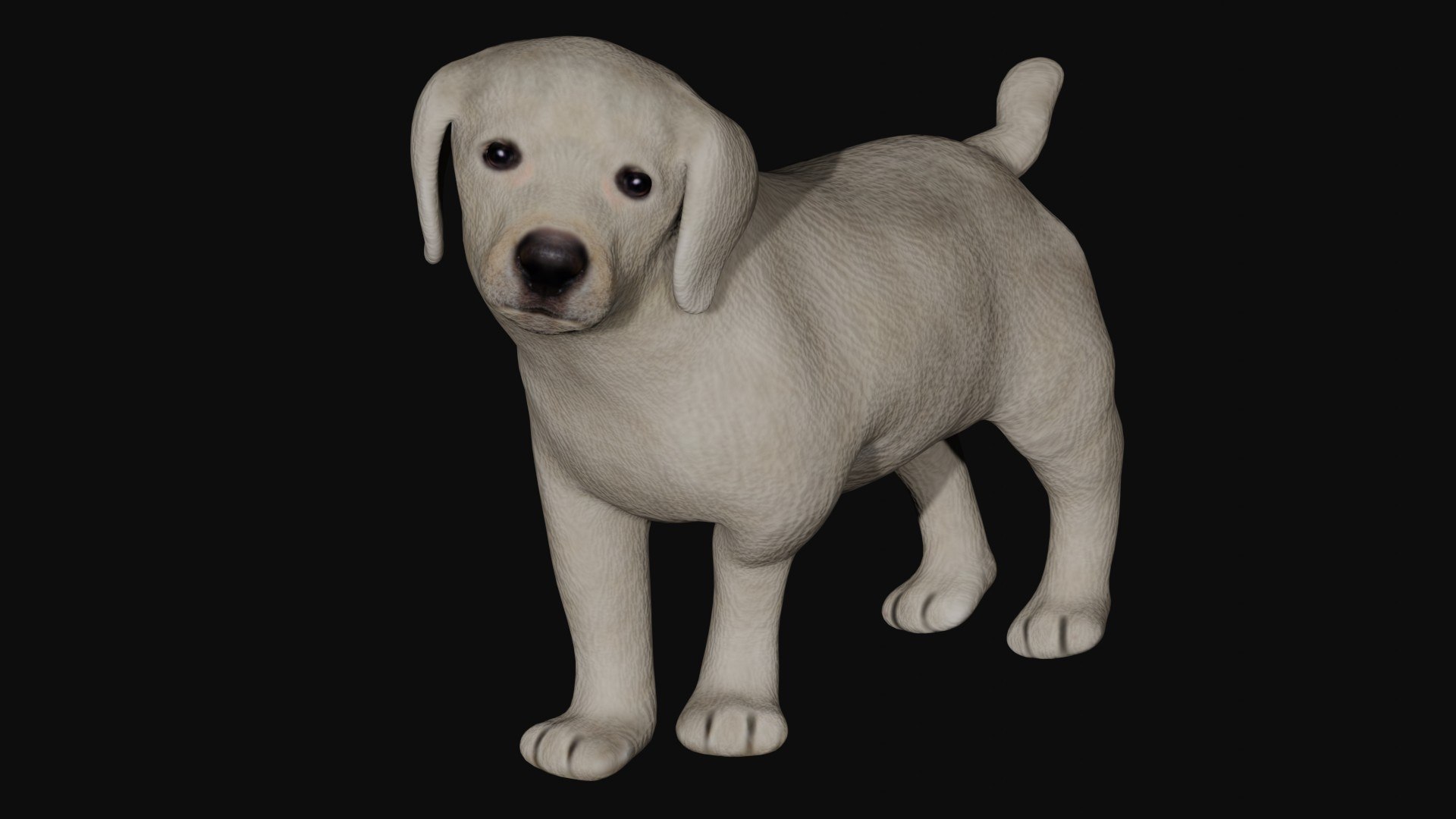 3D Labrador And Puppy Labrador Model - TurboSquid 1751975