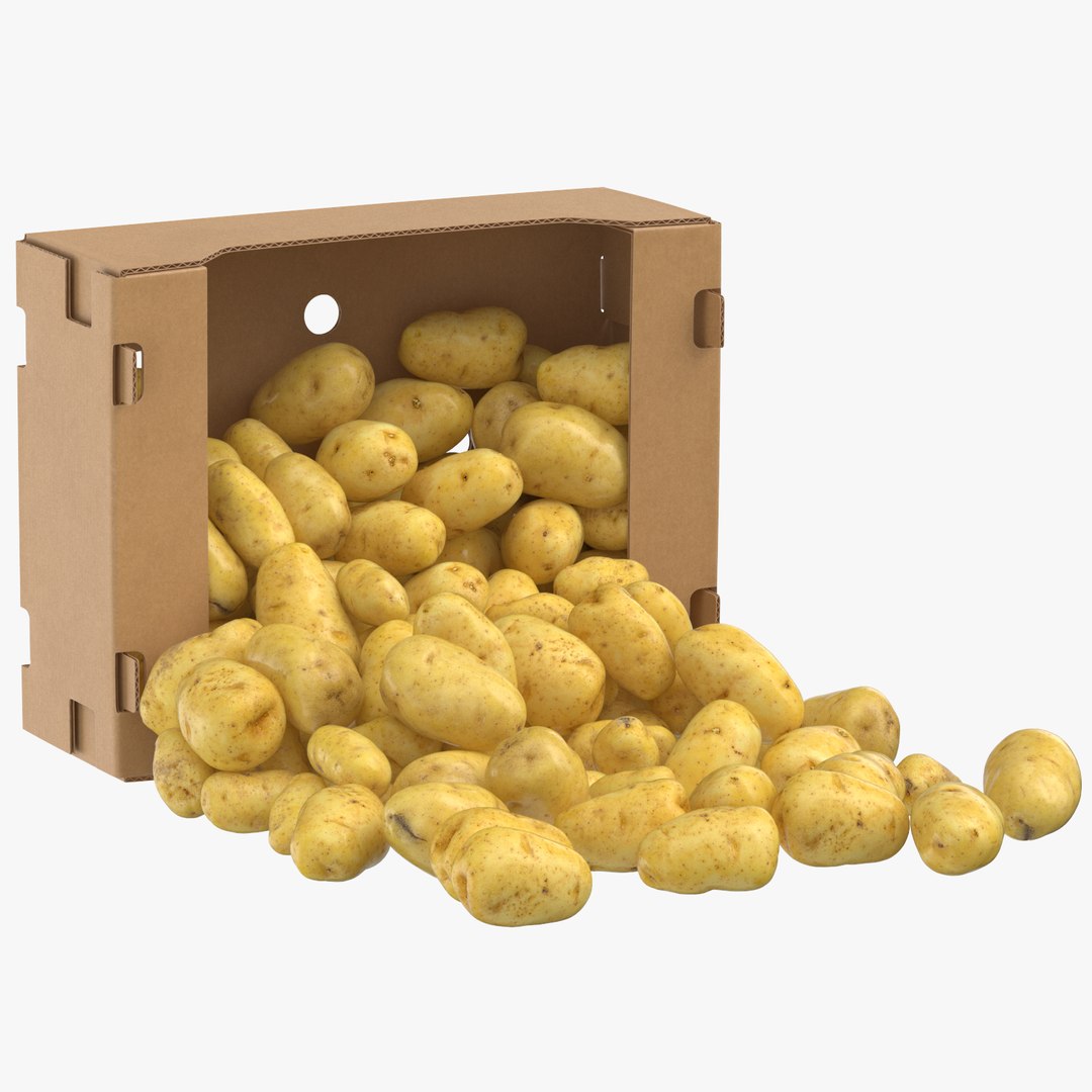 Cardboard display boxes spilled 3D - TurboSquid 1550407