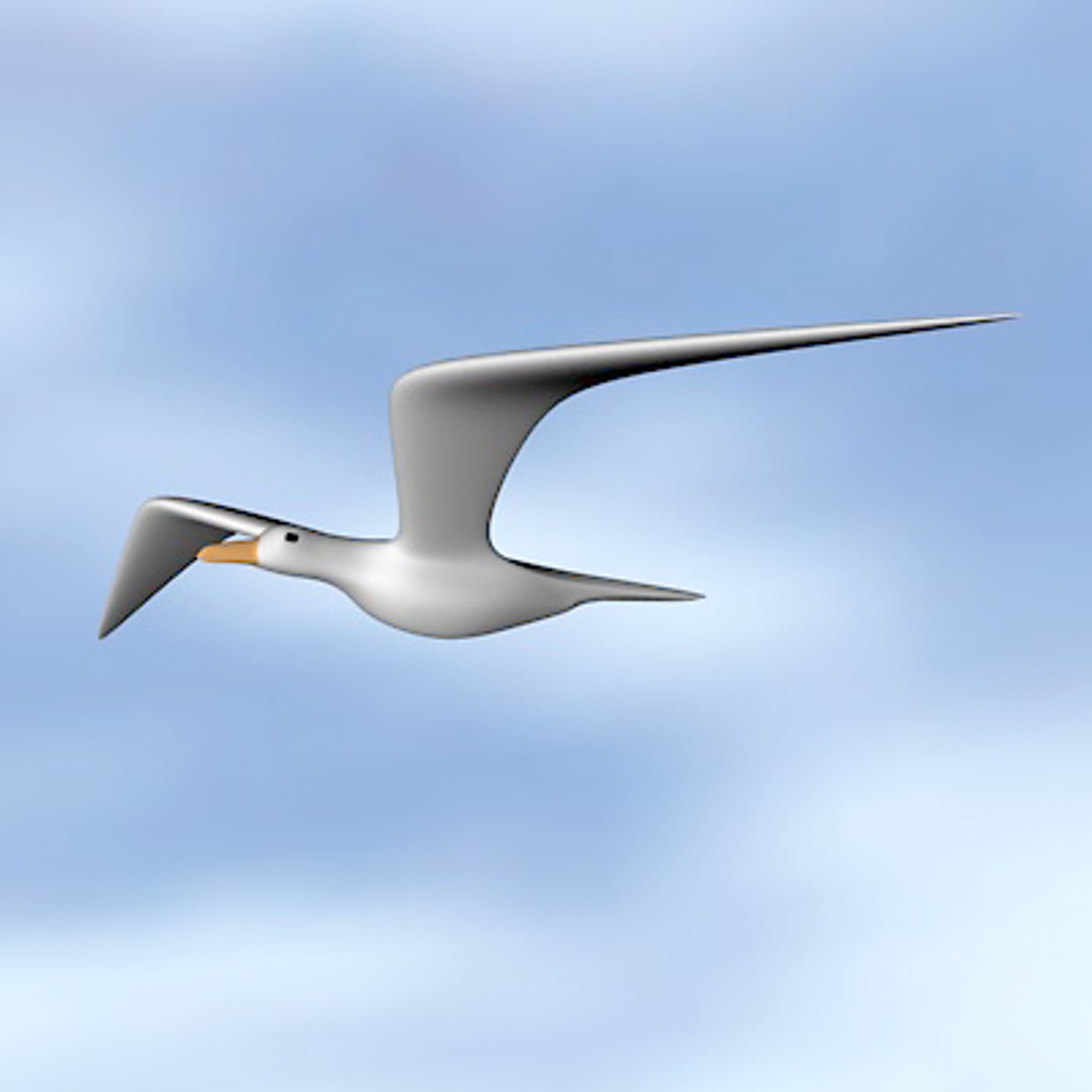 Seagull Maritime 3d Model