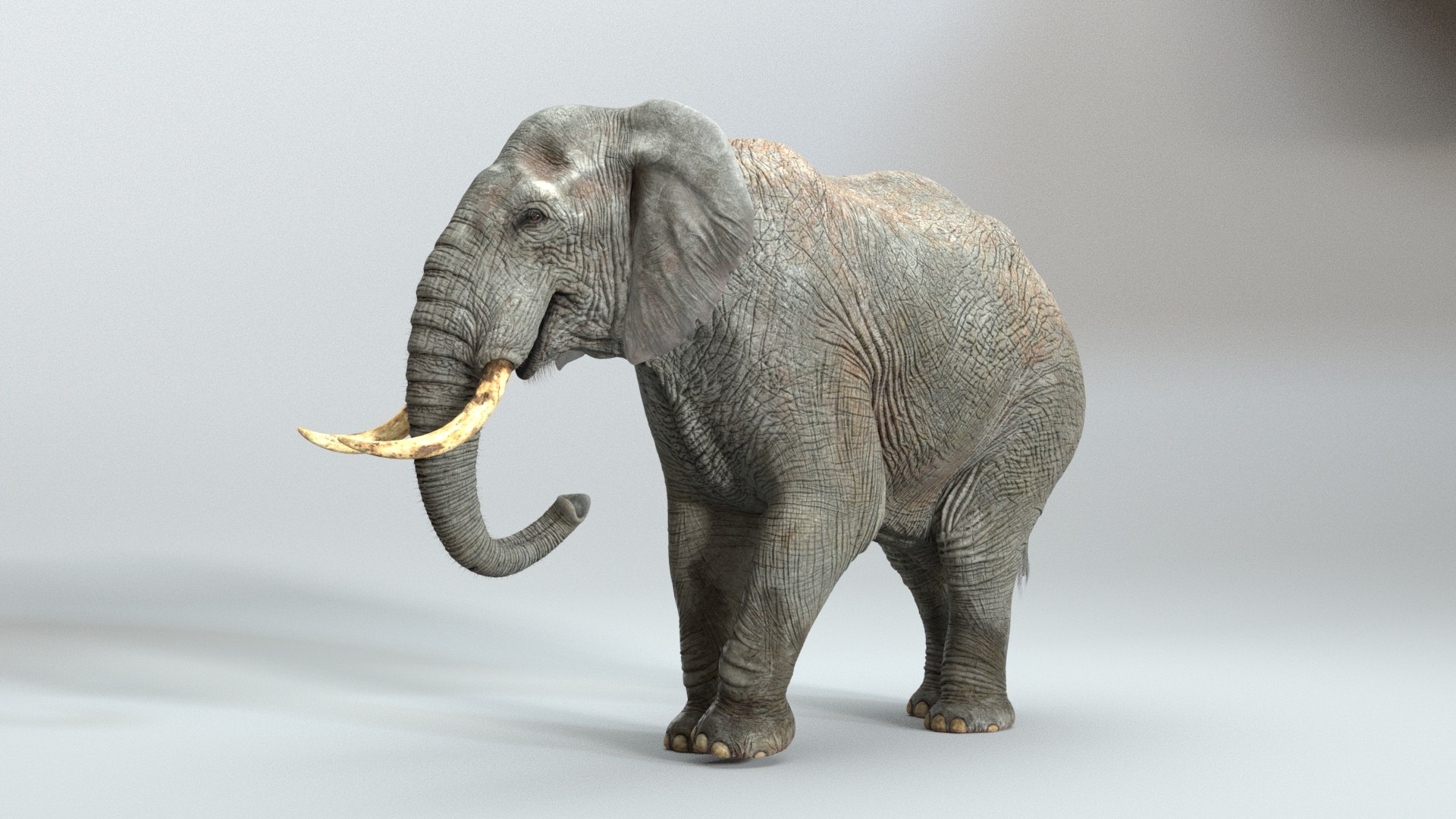 Elephant ANIMATED 3D Model - TurboSquid 2304753